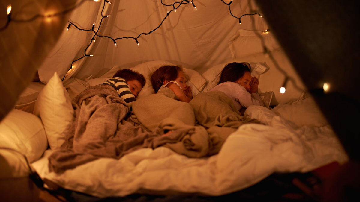 Acampar en el jardín – La microaventura subestimada – ASK THE FOX