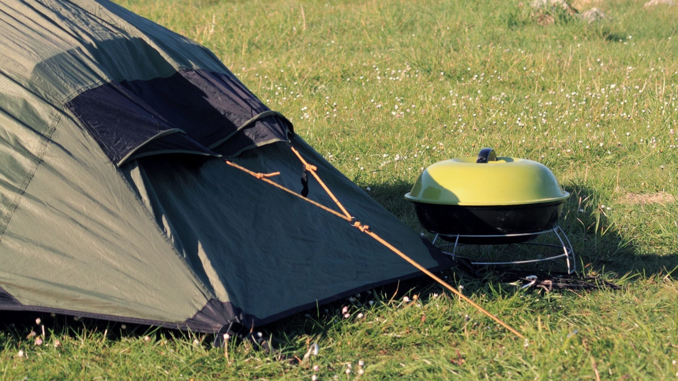 Asar a la parrilla en festivales: consejos de seguridad | ASK THE FOX